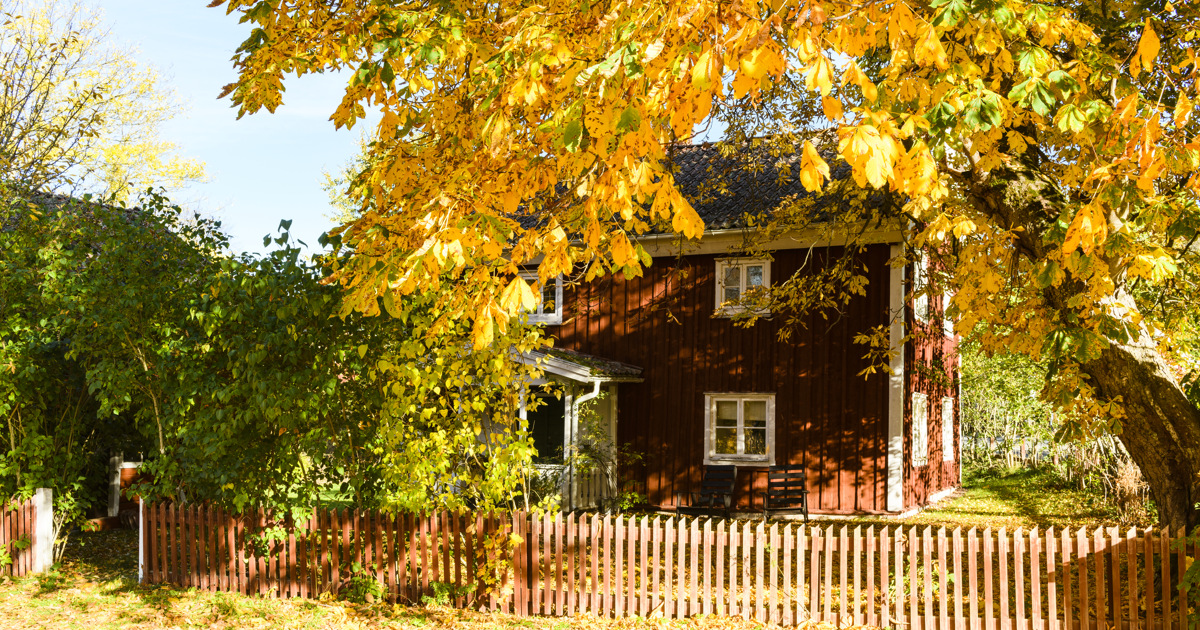 Majoritet bor kvar efter pandemiflytt